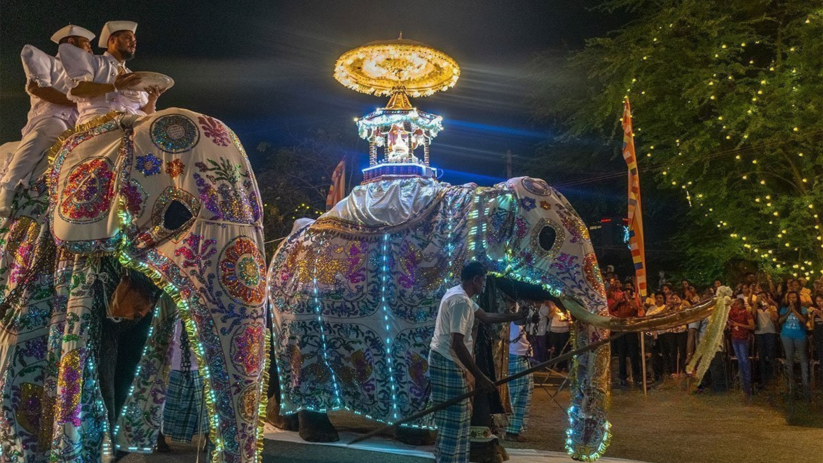 Navam Perahera 2026 | An Unforgettable Cultural Experience in the City ...